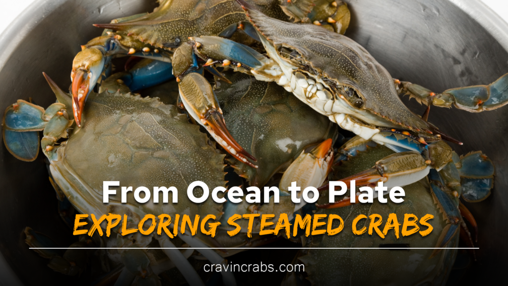 From Ocean to Plate Exploring Steamed Crabs Near Me